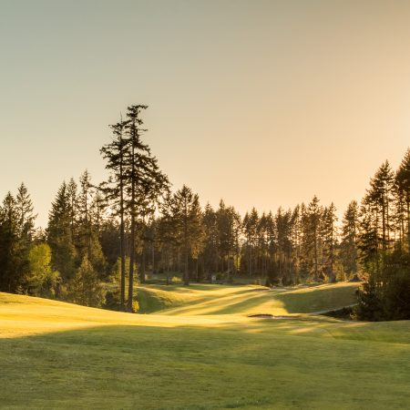 Online Store - McCormick Woods Golf Club