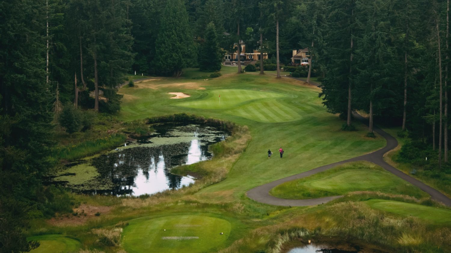 Golfers on Hole - McCormick Woods Golf Club